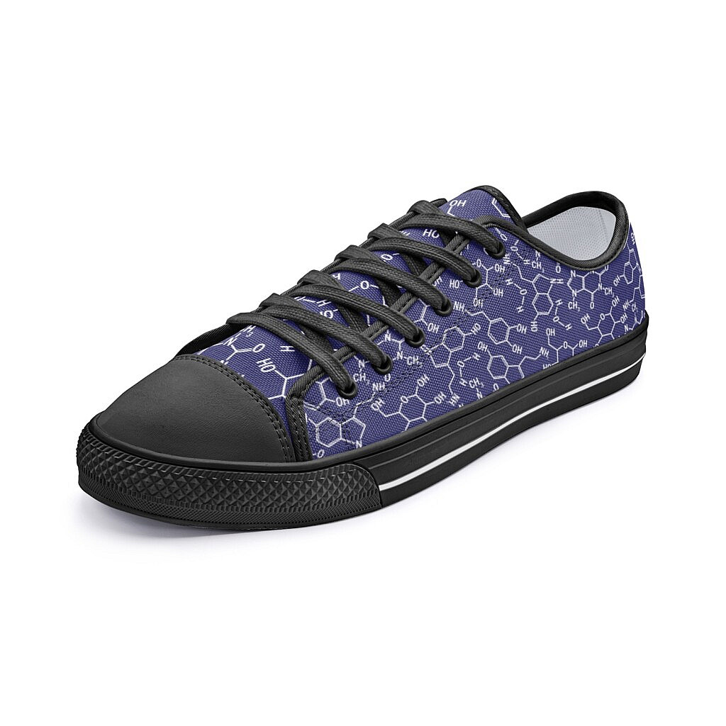Chemistry Low Top Canvas Shoes - STEM Goodies