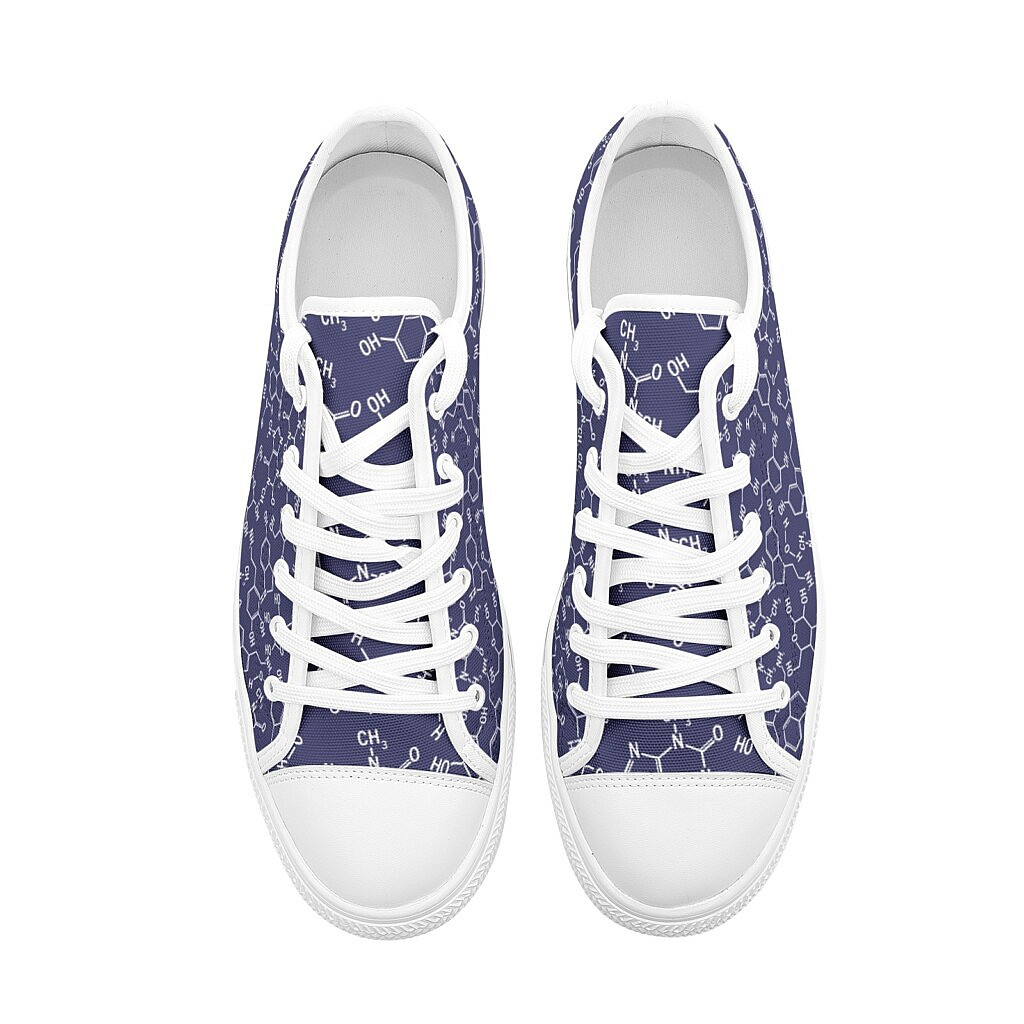 Chemistry Low Top Canvas Shoes - STEM Goodies